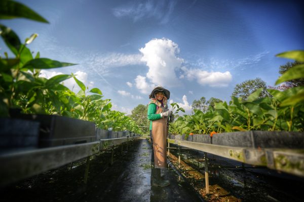 RGE Founder's Day 2020: Giving Back In The New Normal | Inside RGE