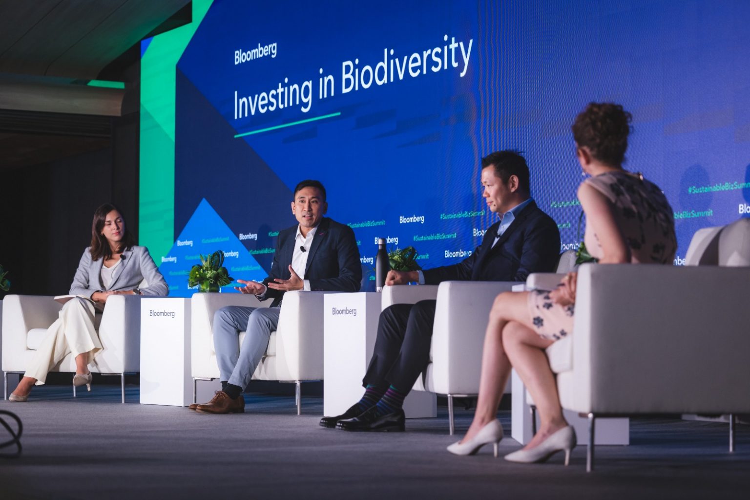Bloomberg Sustainable Business Summit 2022: Investing in biodiversity ...