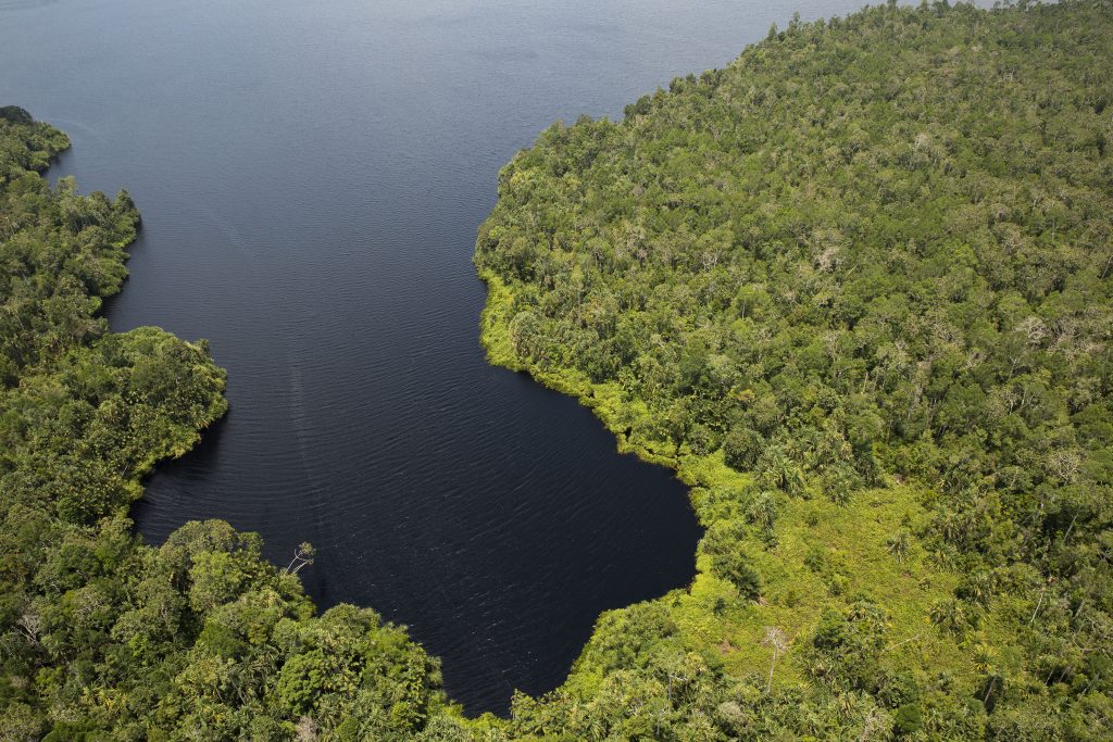 Forbes Global CEO Conference 2022: ESG, Purpose and Doing Good - Inside RGE